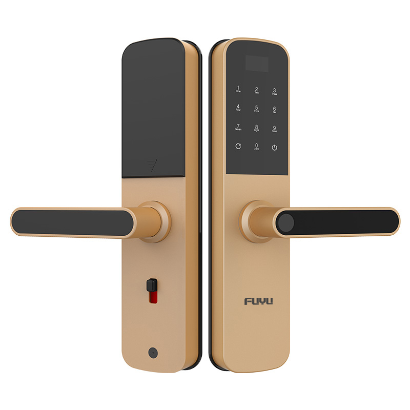 Historical evolution of door lock mechanisms